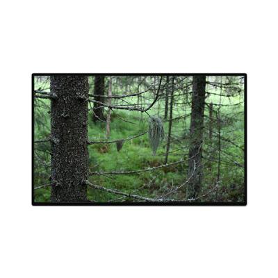 China TV101WUB-NW1-D9P0 10.1 inch 1200*1920 LCD Panel Display for sale