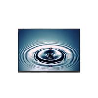 China NV116WHM-A13 11.6 inch 1366*768 LCD Panel Screen for Laptop for sale
