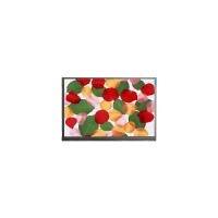 China E080AWAA R1 8.0 inch lcd panel for Automotive Display for sale