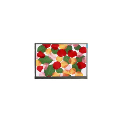 China E080AWAA R1 8.0 inch lcd panel for Automotive Display for sale