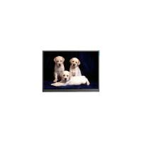 China 800*1280 F080A27-6T1 8.0 inch TFT LCD Panel Display Screen for sale