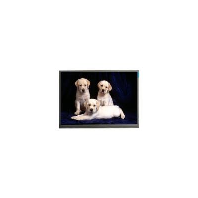 China 800*1280 F080A27-6T1 8.0 inch TFT LCD Panel Display Screen for sale