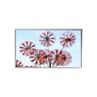 China M270DAN05.0 CELL 27.0 inch 2560*1440 a-Si TFT-LCD Screen Panel for sale