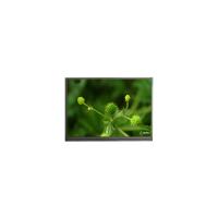 China F065A11-6T1 6.5 inch 720*1560 TFT-LCD Panel Display for sale