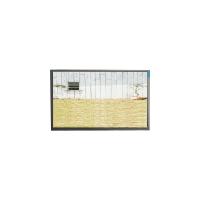 China T133NWF4 RB 13.3 Inch 1920*1080 Lcd Screen Panel for sale