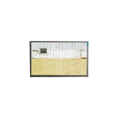 China T133NWF4 RB 13.3 Inch 1920*1080 Lcd Screen Panel for sale