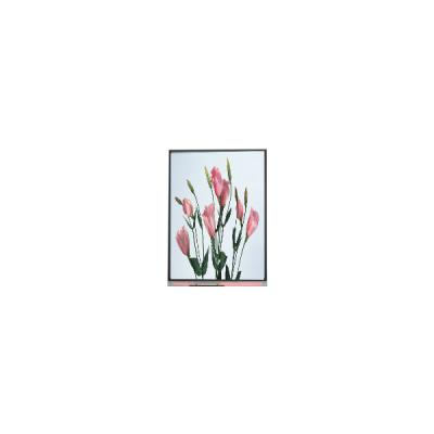 China 5.7 inch 720*1520 C057SWR2-0 lcd Screen for Mobile Phone for sale