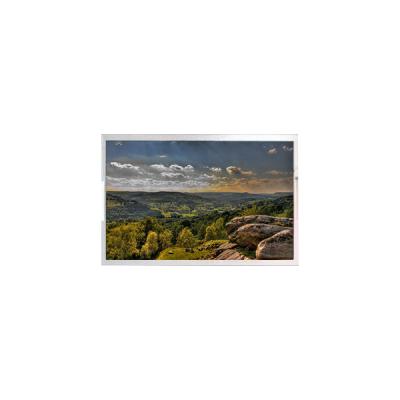 China 15.6 inch LCD Screen B156HAK02.0 HW9A 1920*1080 TFT LCD panel for sale