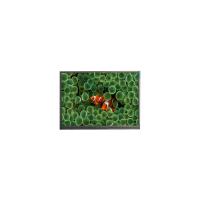 China New F063A02-6T1 6.3 inch 1080*2280 Touch LCD Panel LCD Screen for sale