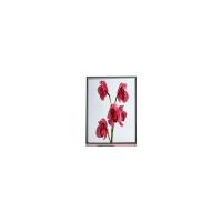 China 480*960 C060SWY7-0 6.0 inch tft LCD Screen for sale