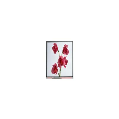 China 480*960 C060SWY7-0 6.0 inch tft LCD Screen for sale