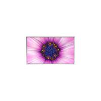 China 7.0 inch TT070WVM-NW1 800*480 LCD Screen for Home Appliance for sale