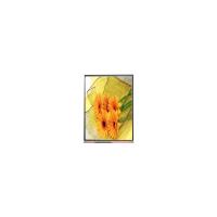 China 5.7 inch screen lcd Panel C056SWR1-1 Mobile Phone lcd display for sale
