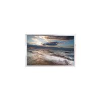 China 10.3 inch COG-PVLSZT007-01 1920*720 LCD display tft lcd screen for sale