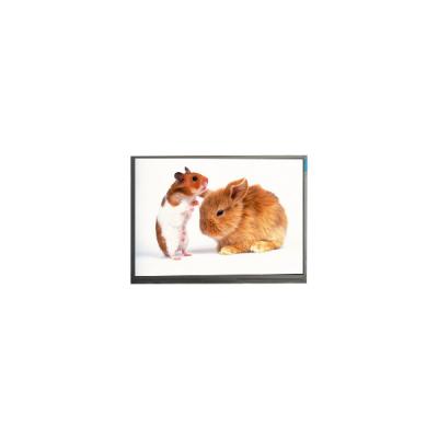 China F060A21-603 6.0 inch 720*1440 LCD Display Module FOR Mobile Phone for sale