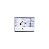China F060A18HD4-6T1 6.0 inch LCD Screen panel For Mobile Phone for sale