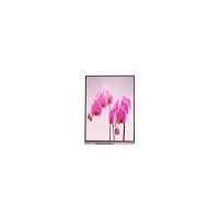 China C060SWR5-1 6.0 inch 720*1440 LCD Screen Display Panel For Mobile Phone for sale