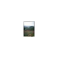 China 5.5 Inch LS055B1SX01B LCD Panel with Touch For Mobile Phone for sale