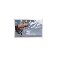 China Original 5.9 inch TL059FVMP06-00 1080*2160 TFT LCD Screen for sale