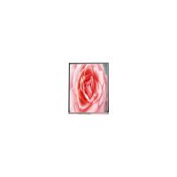 China C050SWAK-3 5.0 inch 720*1280 IPS LCD Screen Panel for sale