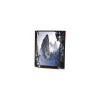 China 1080*1920 LPM055A409A 5.5 inch LCD Screen FOR Mobile Phone for sale