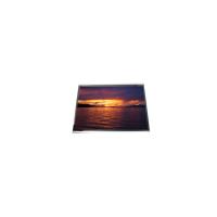 China LPM052A435A 5.2 inch 1080*1920 Touch LCD Screen Panel for sale