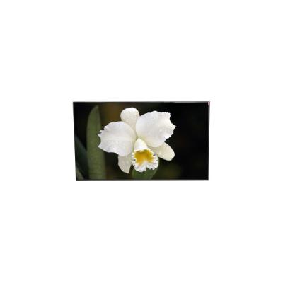 China Original LP125WF4-SPQ1 12.5 inch TFT LCD Screen for sale