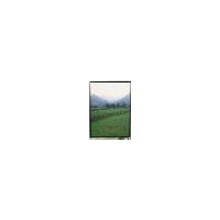 China LS052T1SX02 5.2 inch 1080*1920 LCD screen For Mobile Phone for sale
