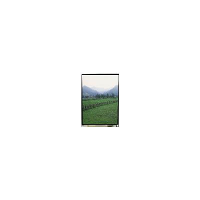 China LS052T1SX02 5.2 inch 1080*1920 LCD screen For Mobile Phone for sale