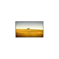 China Hot Sell 10.1 inch TT101WSQ-N10 1024*600 LCD Display Screen FOR Netbook PC for sale