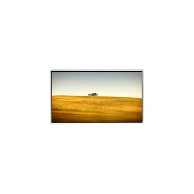 China Hot Sell 10.1 inch TT101WSQ-N10 1024*600 LCD Display Screen FOR Netbook PC for sale