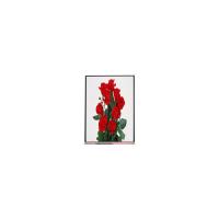 China NEW 6.2 inch C062SWP1-1 800*480 LCD Display for sale