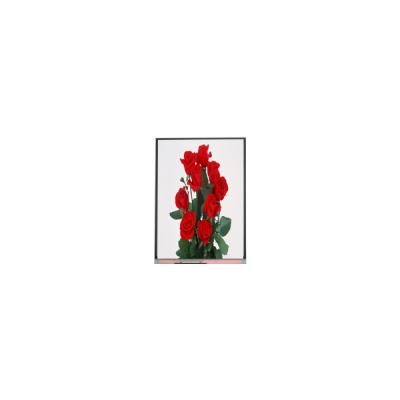 China NEW 6.2 inch C062SWP1-1 800*480 LCD Display for sale