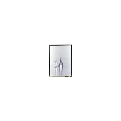 China LS057T1SX01 5.7 inch LCD Panel 1080*1920 LCD Screen Display for sale