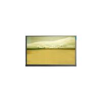 China 21.5 Inch M215HJK-L3B LCD Screen Panel 1920*1080 LCD Display for sale