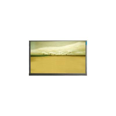 China 21.5 Inch M215HJK-L3B LCD Screen Panel 1920*1080 LCD Display for sale