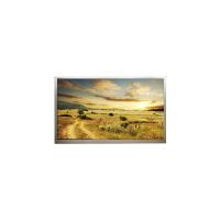China 11.6 inch M116NWR6 R0 TFT-LCD Screen module for sale
