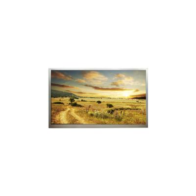 China 11.6 inch M116NWR6 R0 TFT-LCD Screen module for sale