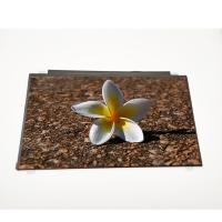 China NV156FHM-N31 NEW 15.6 inch 1920*1080 LCD Screen Display for sale