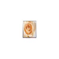 China C050SWAF-0 5.0 inch 720*1280 LCD Screen Panel for sale