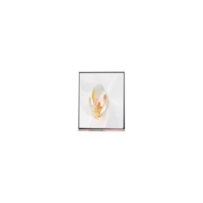 China C050SWYD-2 5.0 inch 480*854 LCD Screen Display for sale