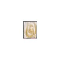 China C050SWA6-3 5.0 inch 720*1280 LCD Screen Display for sale