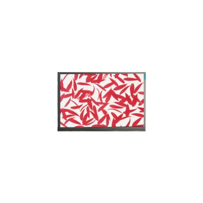 China C116NWR5-0 11.6 inch 1366*768 TFT LCD Screen Display for sale