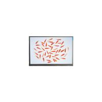 China C116NWR4-0 11.6 inch 1366*768 IPS LCD Screen Display for sale