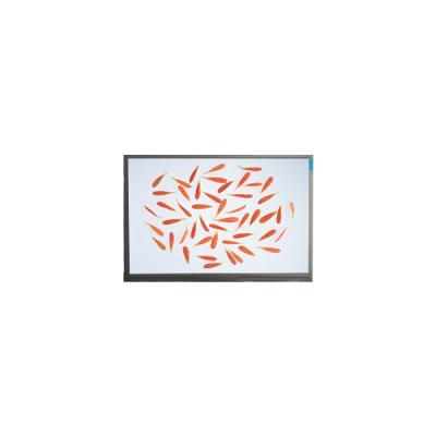 China C116NWR4-0 11.6 inch 1366*768 IPS LCD Screen Display for sale