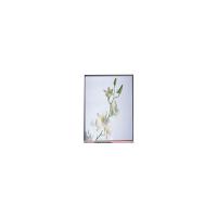 China C060SWZ1-0 NEW 6.0 inch 540*960 LCD Screen Display for sale
