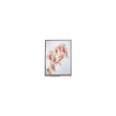 China C060SWA4-0 NEW 6.0 inch IPS LCD Screen Display for sale