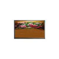 China P101NWT4 R0 10.1 inch 1024*600 LCD Screen Panel for sale