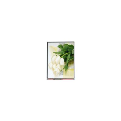 China 5.5 inch C055SWY2 R0 LCD Screen Panel for sale