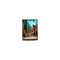 China TPT0501002P Lcd Screen Display 5.0 inch 720*1280 lcd panel for sale